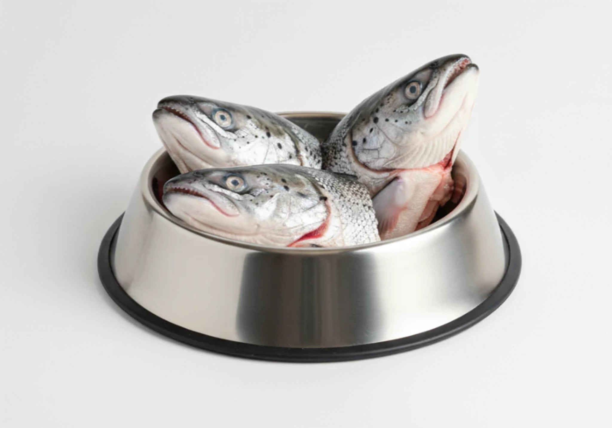 Fish Head (Fresh) – Tasmanian Pet Food